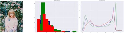 Visualizing Colors In Images Using Histograms Python Opencv Askpython