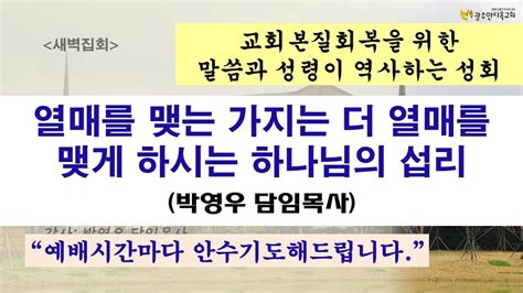 2023 10 30 열매를 맺는 가지는 더 열매를 맺게 하시는 하나님의 섭리 새벽기도회 박영우담임목사 Youtube