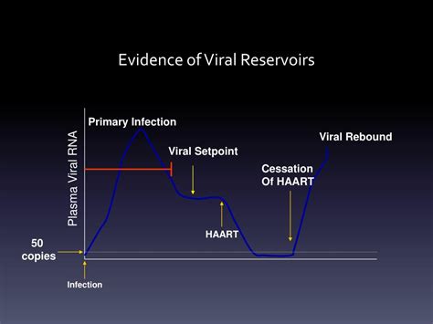 Ppt Immune Reconstitution Anjie Zhen Phd Powerpoint Presentation