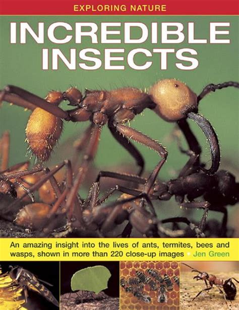 Exploring Nature Exploring Nature Incredible Insects An Amazing