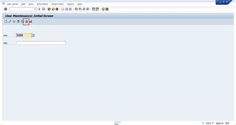 Sap Basis For Beginner User Management With Cua Create New User And Locked User