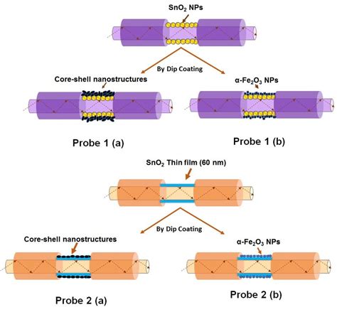 Pictorial Representation Of Fabrication Of Sensor Probe Download Scientific Diagram