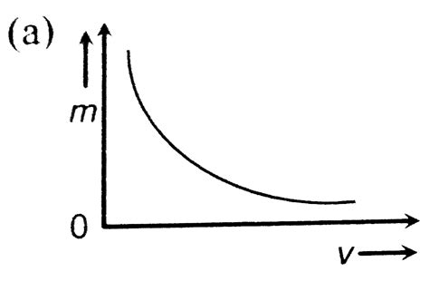 What Is Lateral Magnification At Judy Robeson Blog