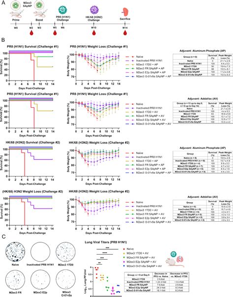 Single Component Multilayered Self Assembling Protein Nanoparticles Displaying Extracellular