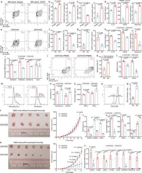 Genetic Ablation Of Cd70 In Npc Cells Reverts Treg Suppressive Activity