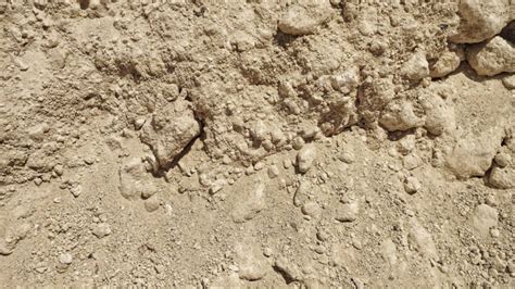 Calcium In Soil Uses And Signs Of Deficiency