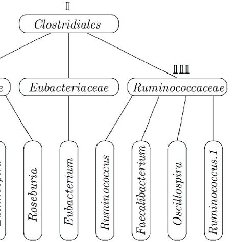 Example Illustrating The Taxonomic Structure Of 6 Hypothetical Otus