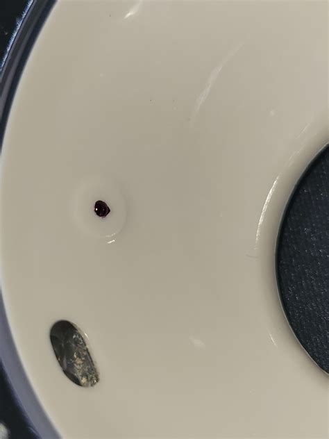 Do I Need To Replace My Trackball Bearings R Trackballs