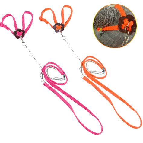 10 Best Cockatoo Bird Harnesses For Safe And Comfortable Outings