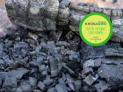 Popiół drzewny jako nawóz w uprawach pod osłonami sklep Krostrade