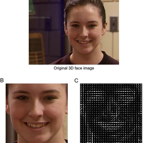 Facial Landmarks 68 Key Points Of Face Recognition Grand Challenge Download Scientific