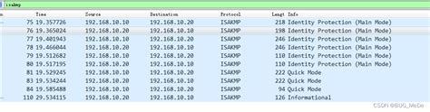 Ipsec Vpn技术（基础篇二）ipsec协议的cookie在那 Csdn博客