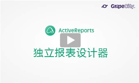 入门视频 Activereportsnet报表控件轻松实现中国式复杂报表开发与设计 葡萄城官网