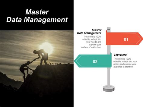 Master Data Management Ppt Powerpoint Presentation Ideas Rules Cpb PowerPoint Slide Template