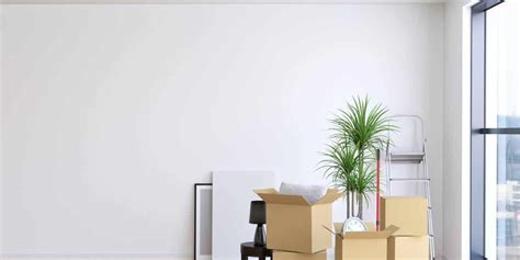 How To Declutter Before A Move Hire A Professional Organizer Palm Beach Organized