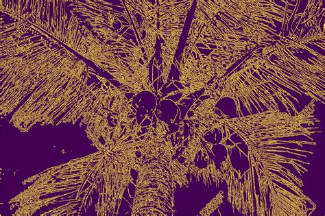 GitHub Ayan Vishwakarma Canny Edge Detector Python Implementation Of Canny Edge Detector