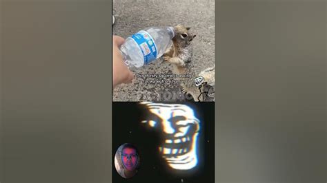 Good Sigma🗿coldest Moments Of All Time🥶trollface Compilation🥶