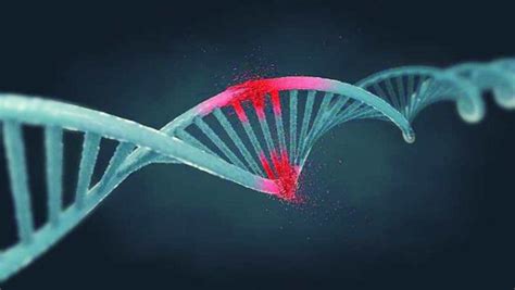 罕见杀手基因突变或缩短寿命 中国科学院