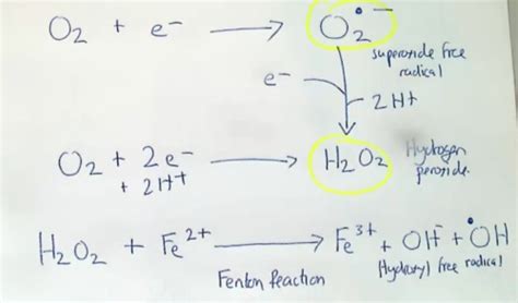 Bcm 35 Bacterial Growth And Nutrition Flashcards Quizlet