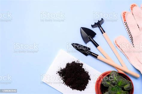 파란색 배경에 정원 삽 원예 레이아웃 봄 심기 식물의 관리 지상에서 작업하십시오 공간을 복사합니다 정원 장갑과 지구 0명에 대한