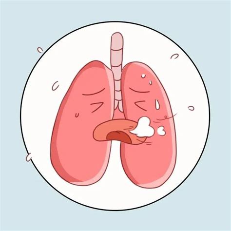 车主关怀减肥很难你可能忽略了这一点 运动 功能 的能力