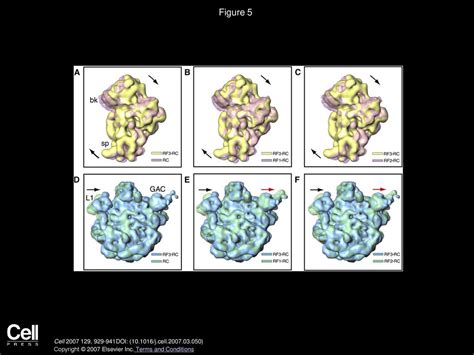 Volume 129, Issue 5, Pages (June 2007) - ppt download