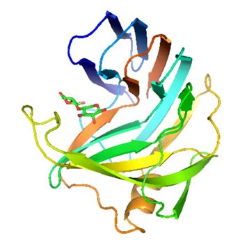 Xylanase Creative Enzymes