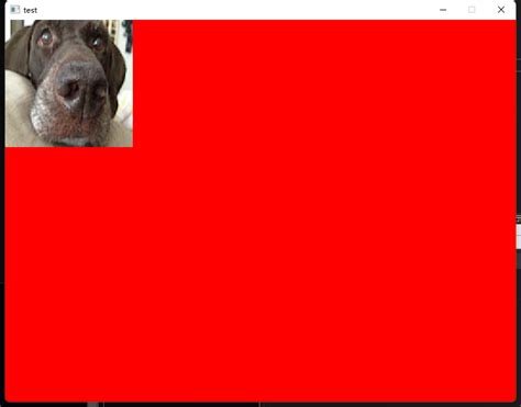SDL RenderGeometry S Software Backend Failed To Render When Texture Coordinates Are Reversed