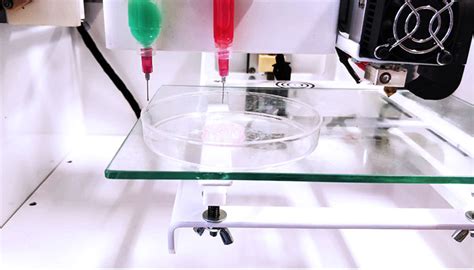 REGEMAT 3D Un Pionnier Espagnol De La Bio Impression 3Dnatives