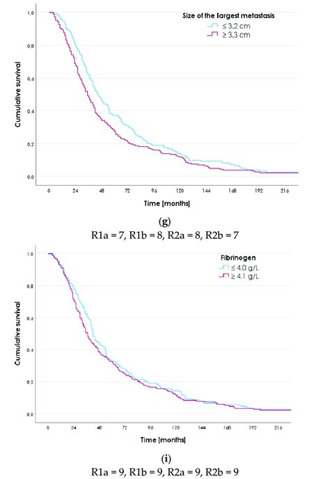 Summary Of The Ranking Of Survival Factors A The Resection Margin