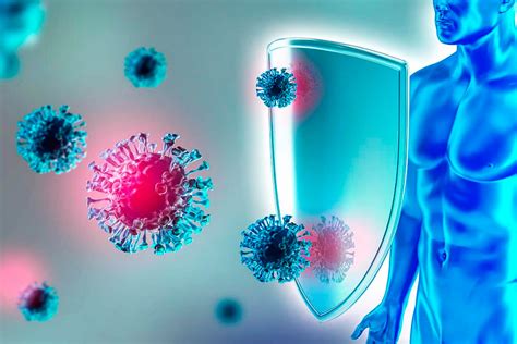 Descubre Qué Es El Sistema Inmunológico Y Cómo Fortalecerlo