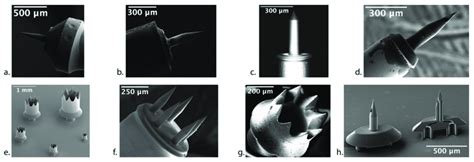 Suite Of Microneedles Developed For The Inner Ear A Solid Polymeric
