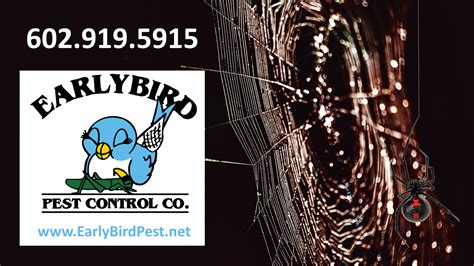 Arcadia Pest Control Phoenix Scottsdale Paradise Valley
