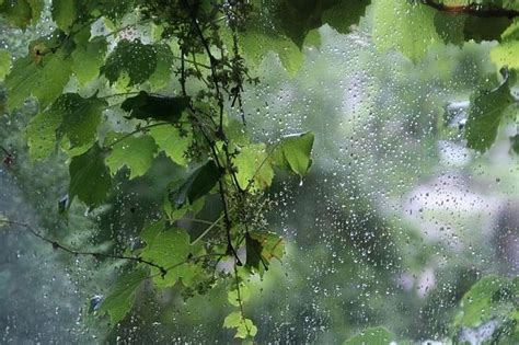 스크랩 그 한잔의 추억