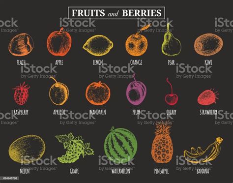 벡터 일러스트 레이 션 과일과 열매 유기농 음료 카드 그려진된 Greengrocery 세트 손 농장 에코 제품 태그 복숭아 레몬 오렌지 사과 체리 키 위 포도 멜론 살구