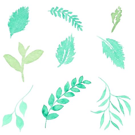Ilustración De Plantas De Acuarela De Flores Pintadas A Mano Vector