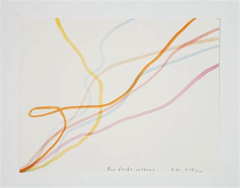 Bee Flight Patterns — Spencer Finch