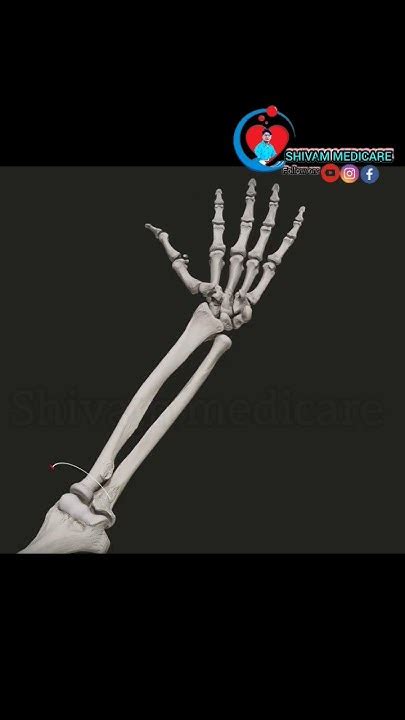 Human Hand Rotation 💪 Shorts Viral Health Viralshorts Amazing 3d