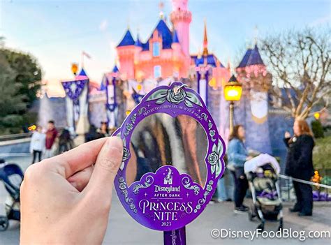 All The Eats Characters And Entertainment At Disneys New Princess After Hours Event Disney