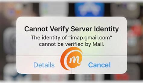Cannot Verify Server Identity Of Google Com On IPhone Solutions US MobilityArena