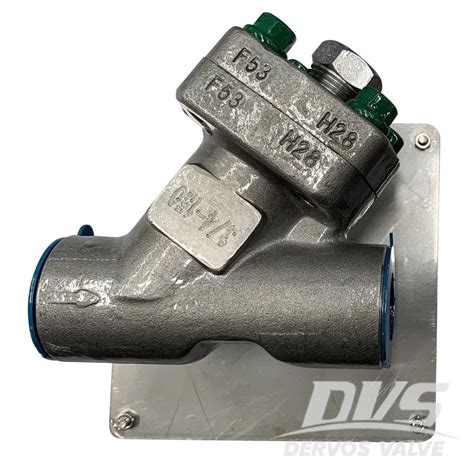 Y Strainer 150 Lb At Jenenge Blog