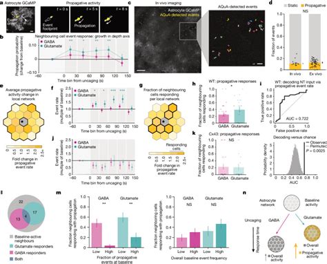 Network Level Encoding Of Local Neurotransmitters In Cortical