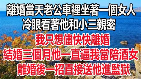 離婚當天老公車裡坐著一個女人，冷眼看著他和小三親密，我只想趕快離婚，結婚三個月他逼我當陪酒女，離婚後一招直接送他進監獄情感深夜讀寫爽文