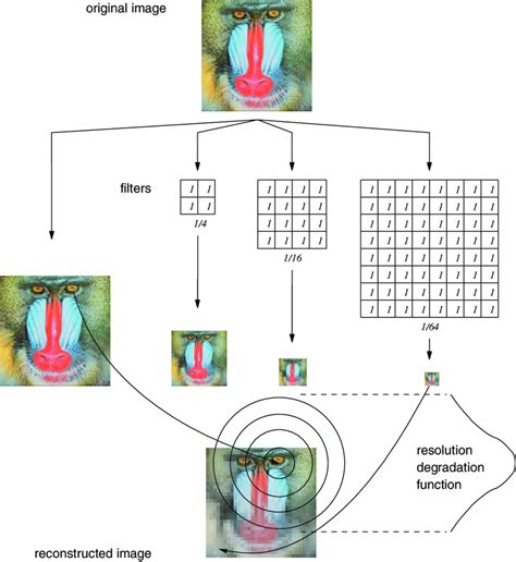 Illustration Of Per Fragment Mipmap Lod Bias Selection Filter Sizes