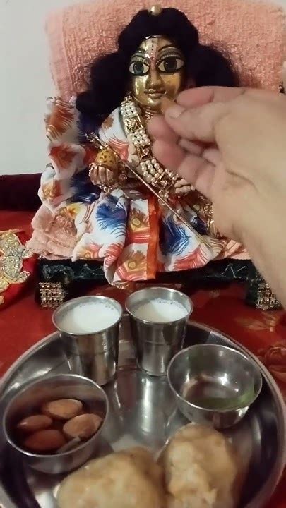 Radhe Radhe Ji 🙏🏻🌹🥰 Krishna Ji Ka Bhog 🪴🪴🙏🏻🙏🏻🥰🥰♥️🌿🌺🌿🌻🌻🌿🌸🌿💫💫💐 Youtube