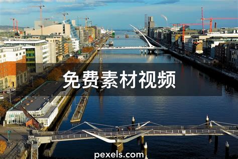 最精彩的“harp ใบไม้”视频 · 100免费下载 · Pexels素材视频