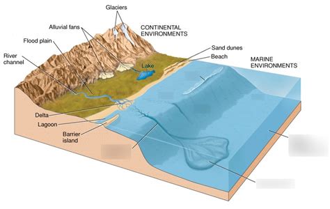 Deposition Of Sedimentary Rocks Diagram Quizlet