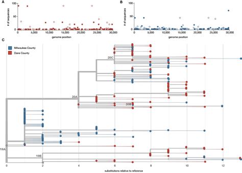 Characterizing Consensus Level Variants And Sequence Divergence Among Download Scientific