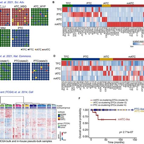 Single Cell Copy Number Alteration And Point Mutation During Thyroid Download Scientific