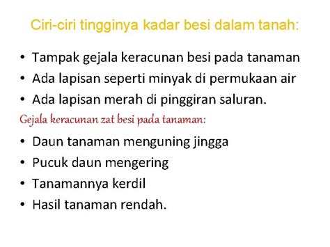 Mengenal Pirit Pirit Pirit Adalah Zat Yang Hanya